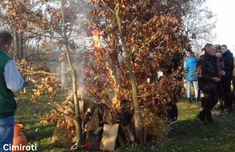 Kako je proslavljen Badnji dan u Gradišci i gradiškim selima - Micro Mreža