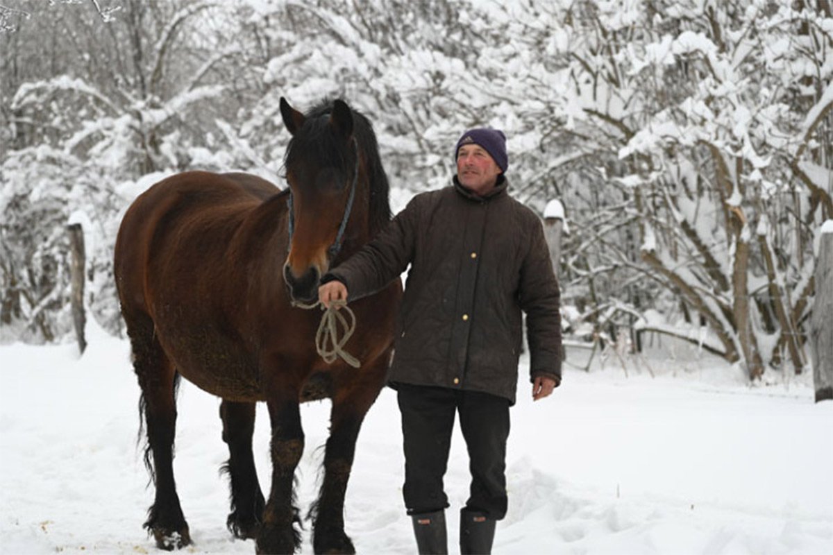 Manjača prekrivena snijegom – Micro Mreža