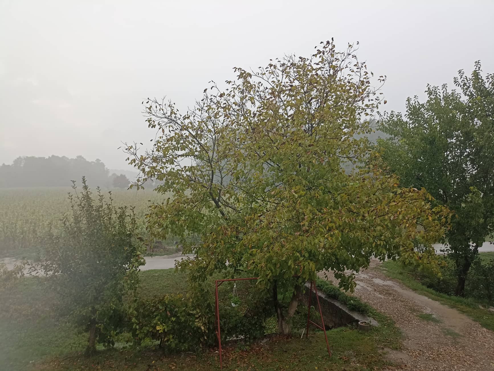 Olujno nevrijeme praćeno vjetrom i pljuskovima pogodilo Gradišku i ...