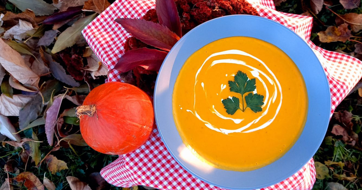 Iz naše kuhinjice: Potaž od bundeve – Micro Mreža